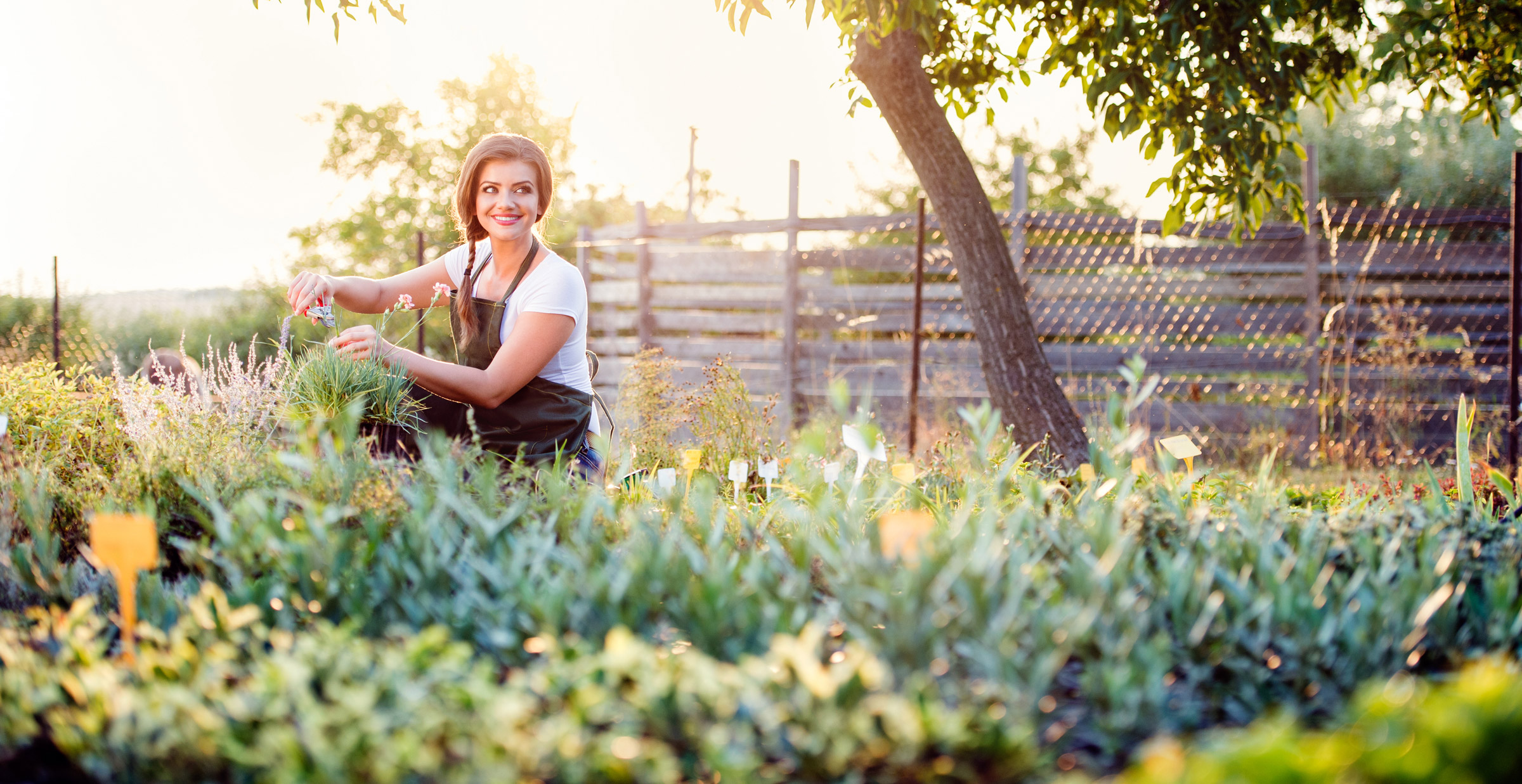 Charlotte Karlinder erzählt über Heidelberger's flüssig - Heidelbergers